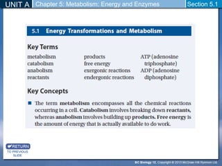 Biology 12 - Powerpoint - Energy Transformation - Section 5-1 | PPT