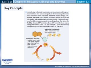 Biology 12 - Powerpoint - Energy Transformation - Section 5-1 | PPT