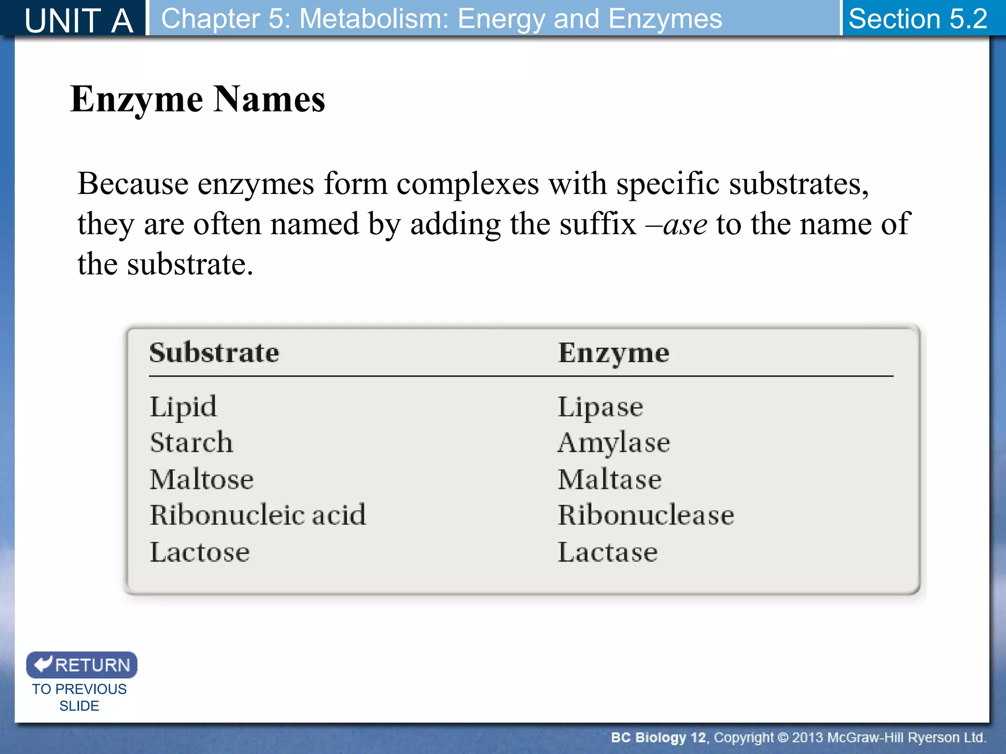 Biology 12 - Enzymes and Metabolic Pathways - Section 5-2 | PPT