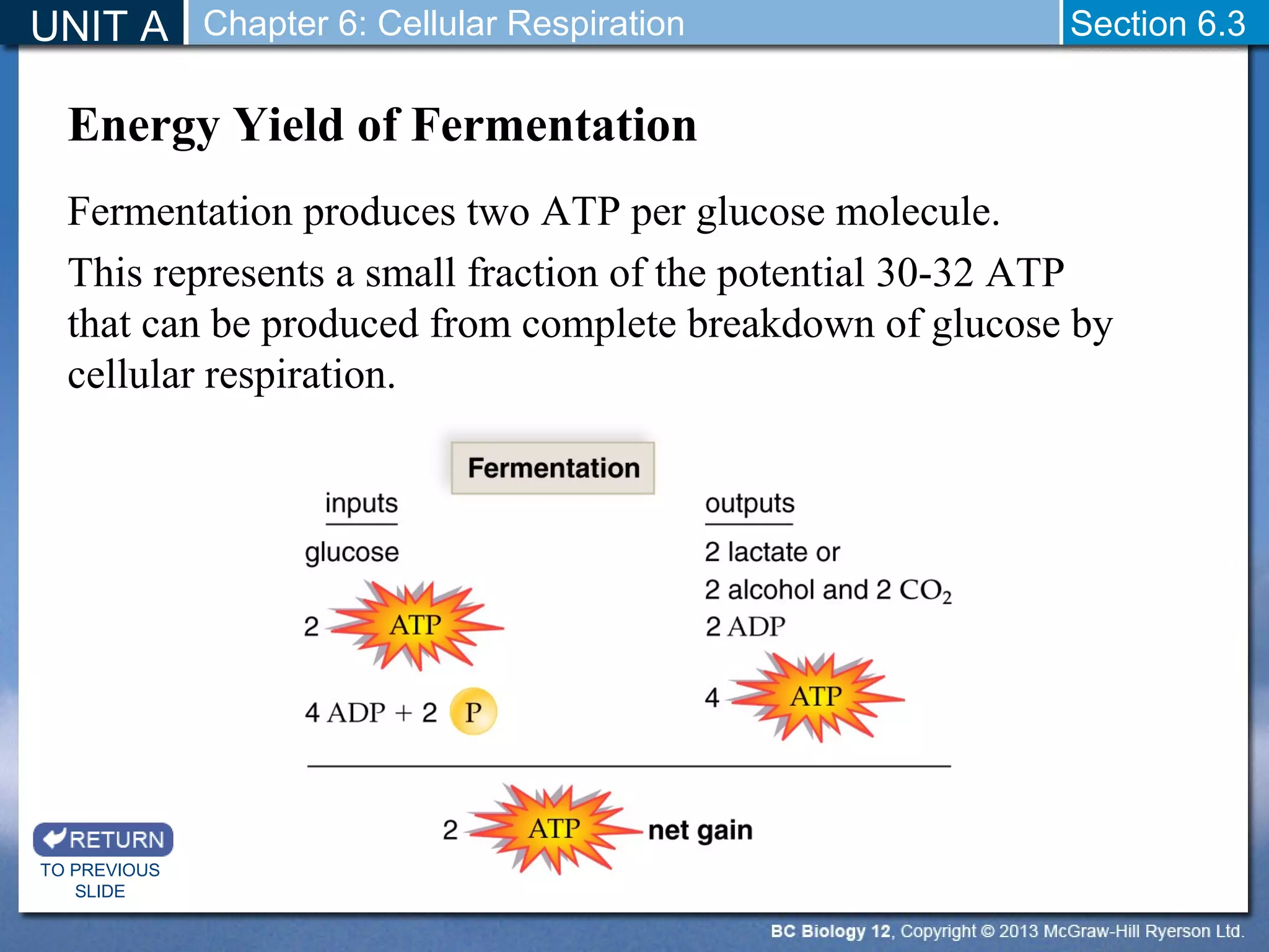 Biology 12 - Glycolysis and Fermentation - Section 6-2 and 6-3 | PPT