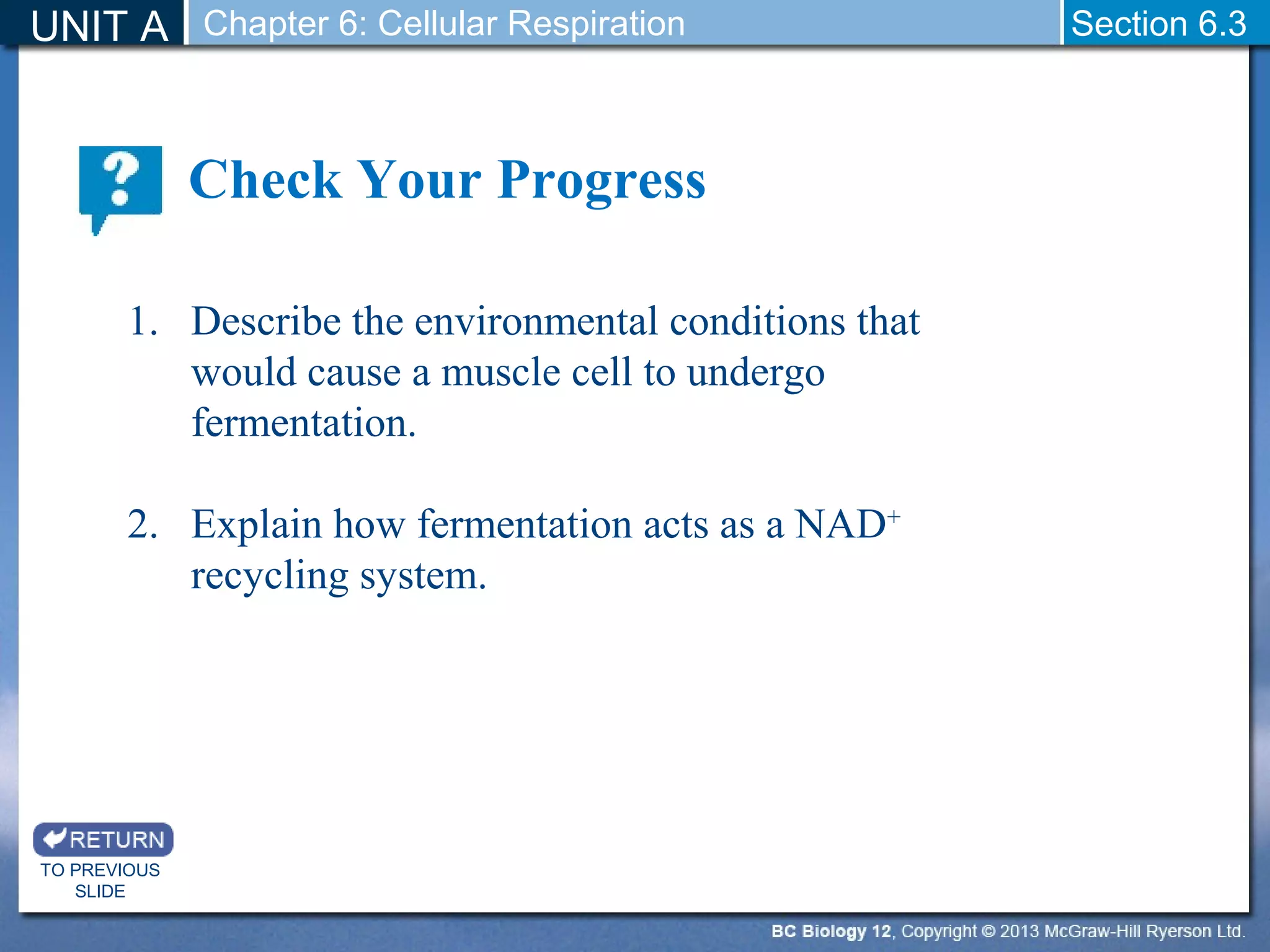 Biology 12 - Glycolysis and Fermentation - Section 6-2 and 6-3 | PPT
