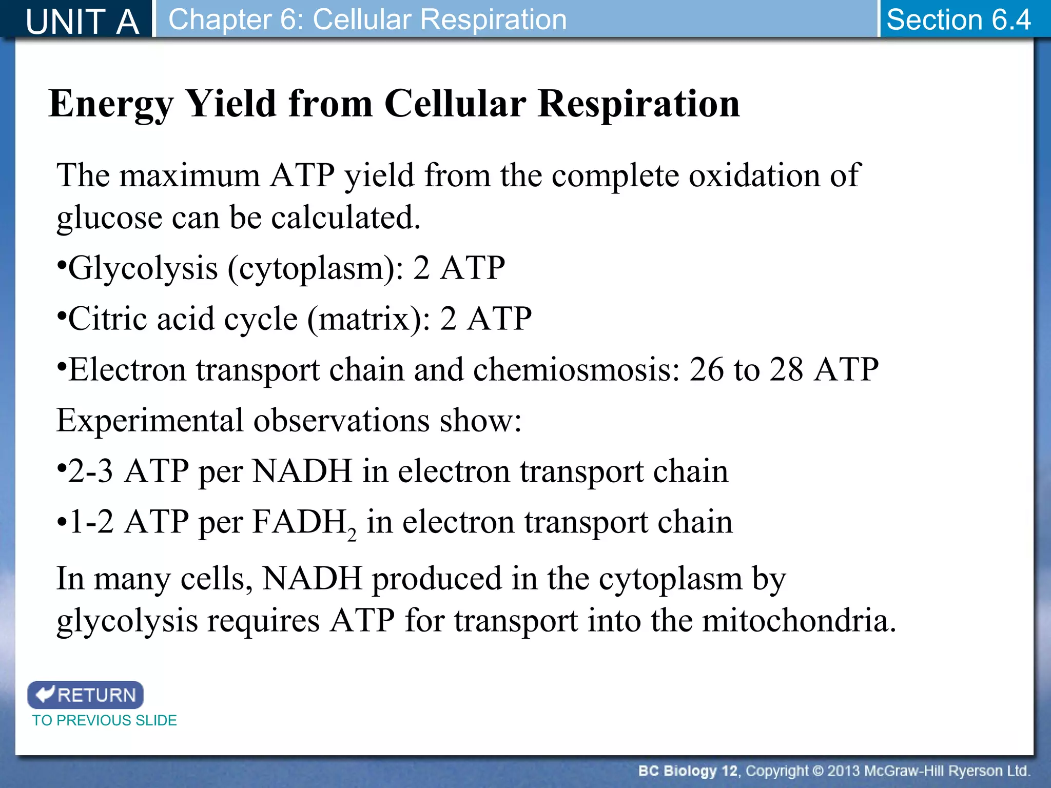 Biology 12 - Inside the Mitochondria - Section 6-4 | PPT