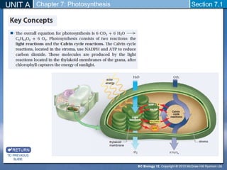 Biology 12 - Photosynthesis - Section 7-1 | PPT