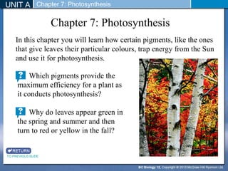 Biology 12 - Photosynthesis - Section 7-1 | PPT