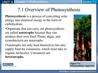 Biology 12 - Photosynthesis - Section 7-1 | PPT