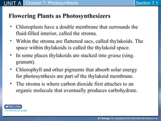 Biology 12 - Photosynthesis - Section 7-1 | PPT