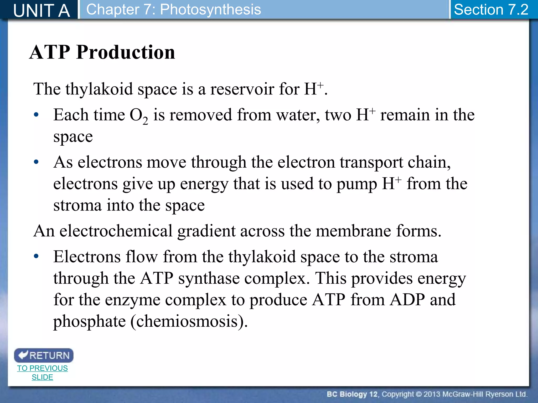 Biology 12 - Solar Energy Converters - Section 7-2 | PPT