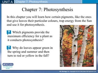 Biology 12 - Solar Energy Converters - Section 7-2 | PPT