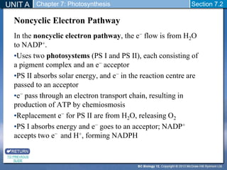 Biology 12 - Solar Energy Converters - Section 7-2 | PPT