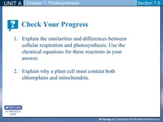 Biology 12 - Alternative Pathways to Photosynthesis - Section 7-4 and 7 ...