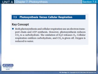 Biology 12 - Alternative Pathways to Photosynthesis - Section 7-4 and 7 ...