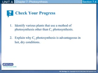 Biology 12 - Alternative Pathways to Photosynthesis - Section 7-4 and 7 ...