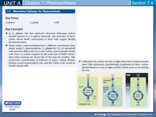 Biology 12 - Alternative Pathways to Photosynthesis - Section 7-4 and 7 ...