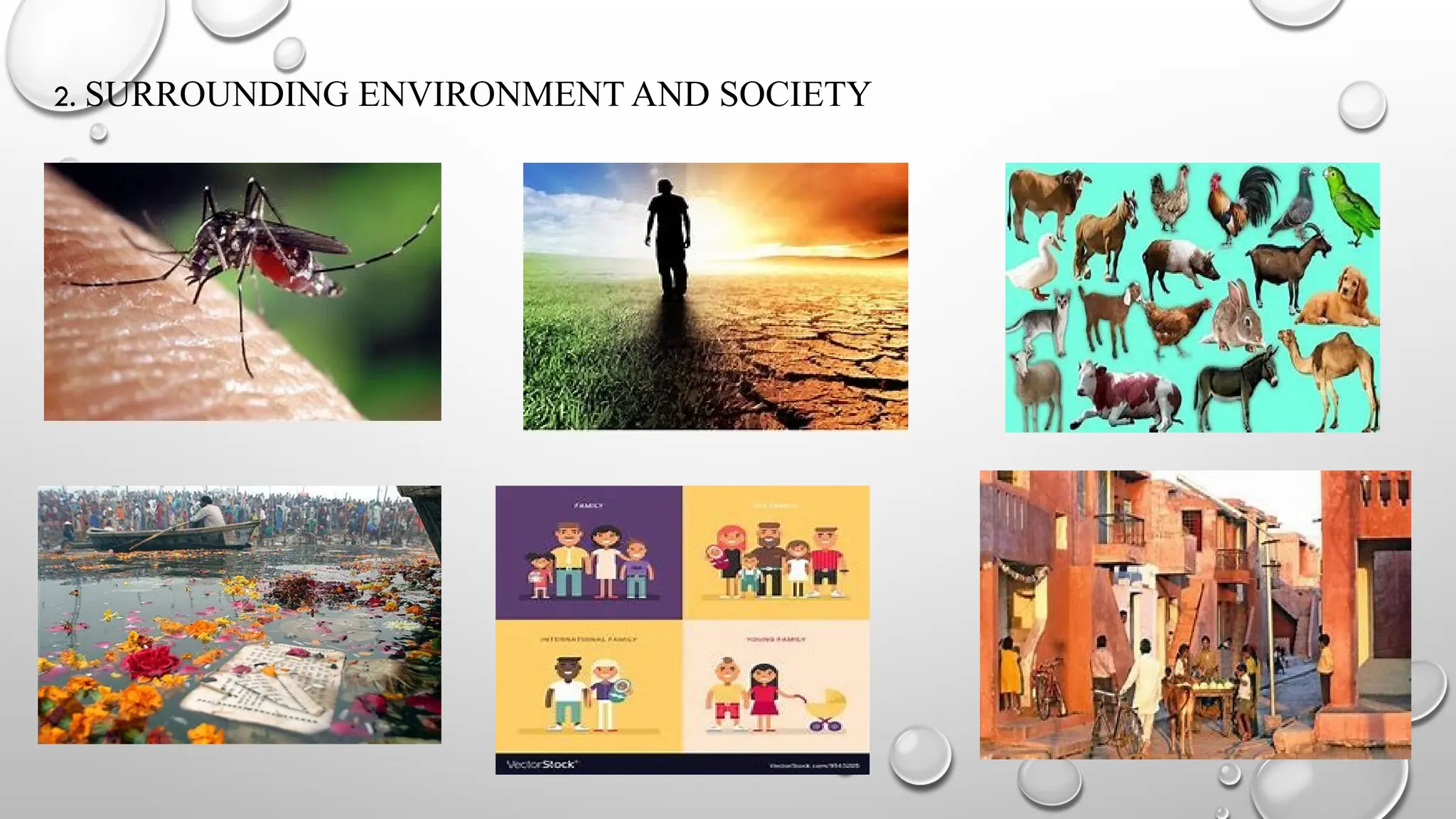 Introduction to health research-BCBR session1 | PPTX