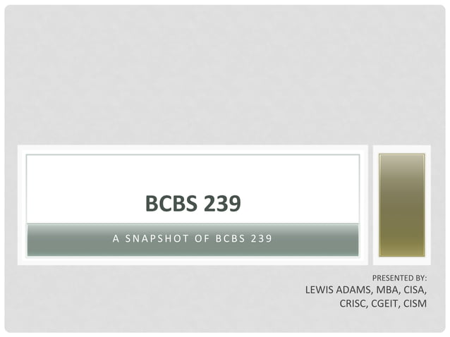 Overview of BCBS 239 | PDF