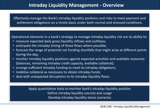 BCBS 248 - Intraday Liquidity Management | PPTX