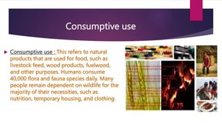 Bcca (4th Sem) evs.pptx