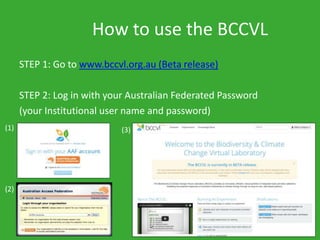 Bccvl hallgren | PPT