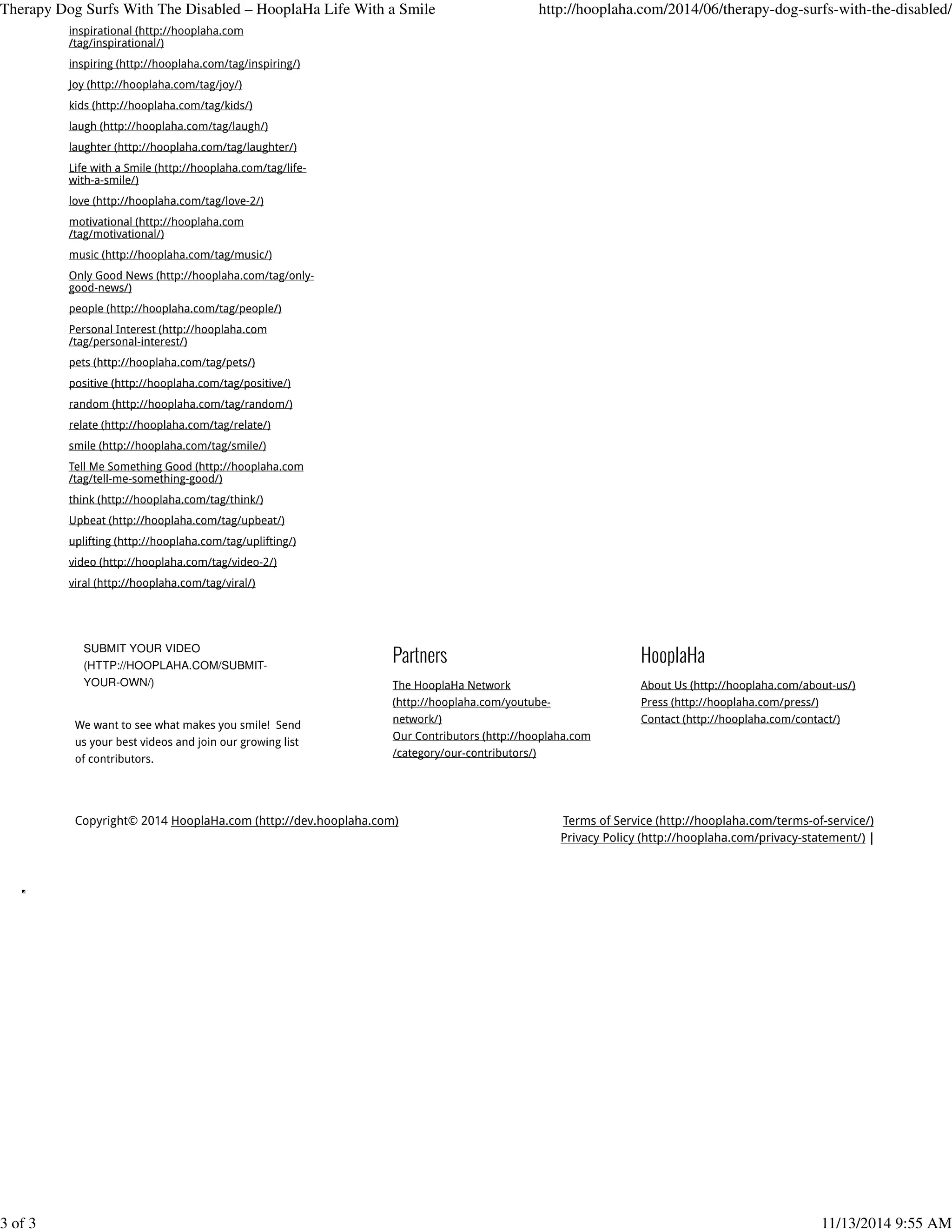 Therapy Dog Surfs With The Disabled – HooplaHa Life With a Smile | PDF ...