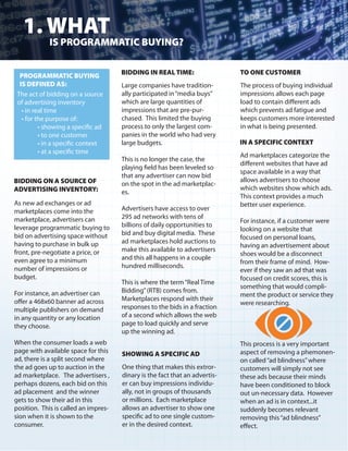 RTB Professional Overview_non-editable | PDF | Internet | Computing