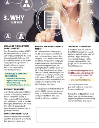 RTB Professional Overview_non-editable | PDF | Internet | Computing