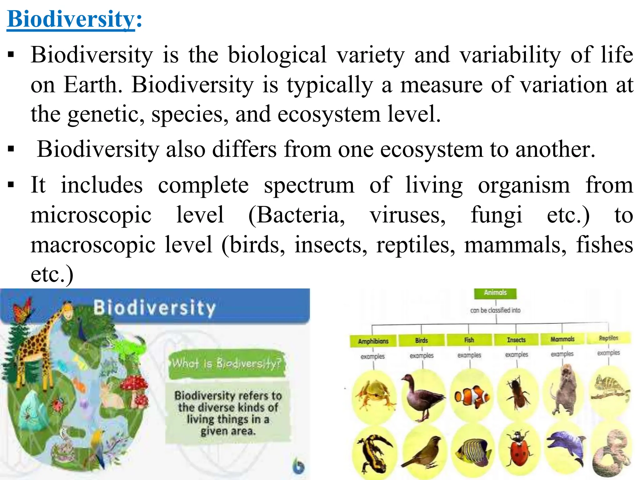 Basic Civil Engineering Notes of Chapter-6, Topic- Ecosystem ...