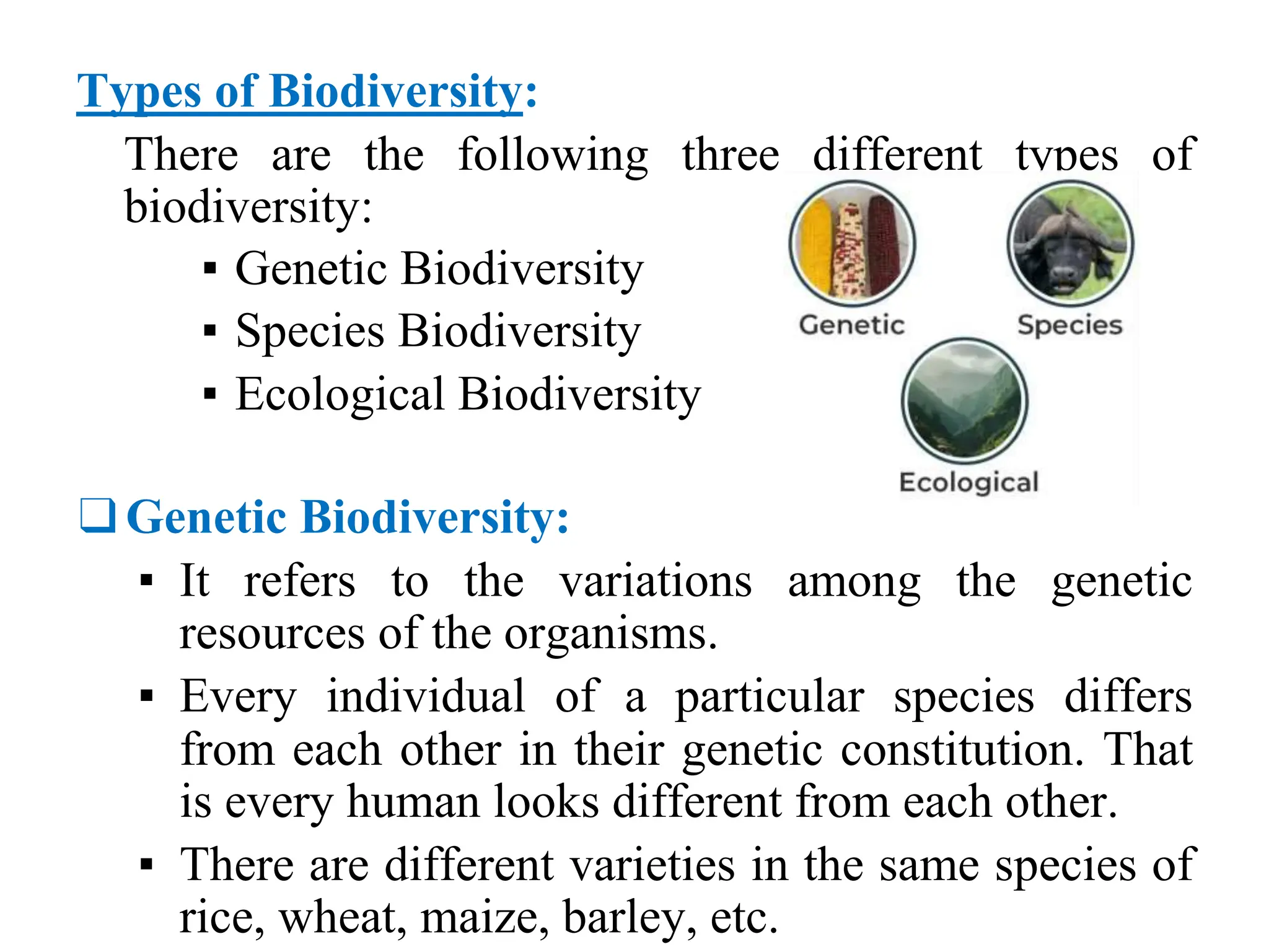 Basic Civil Engineering Notes of Chapter-6, Topic- Ecosystem ...