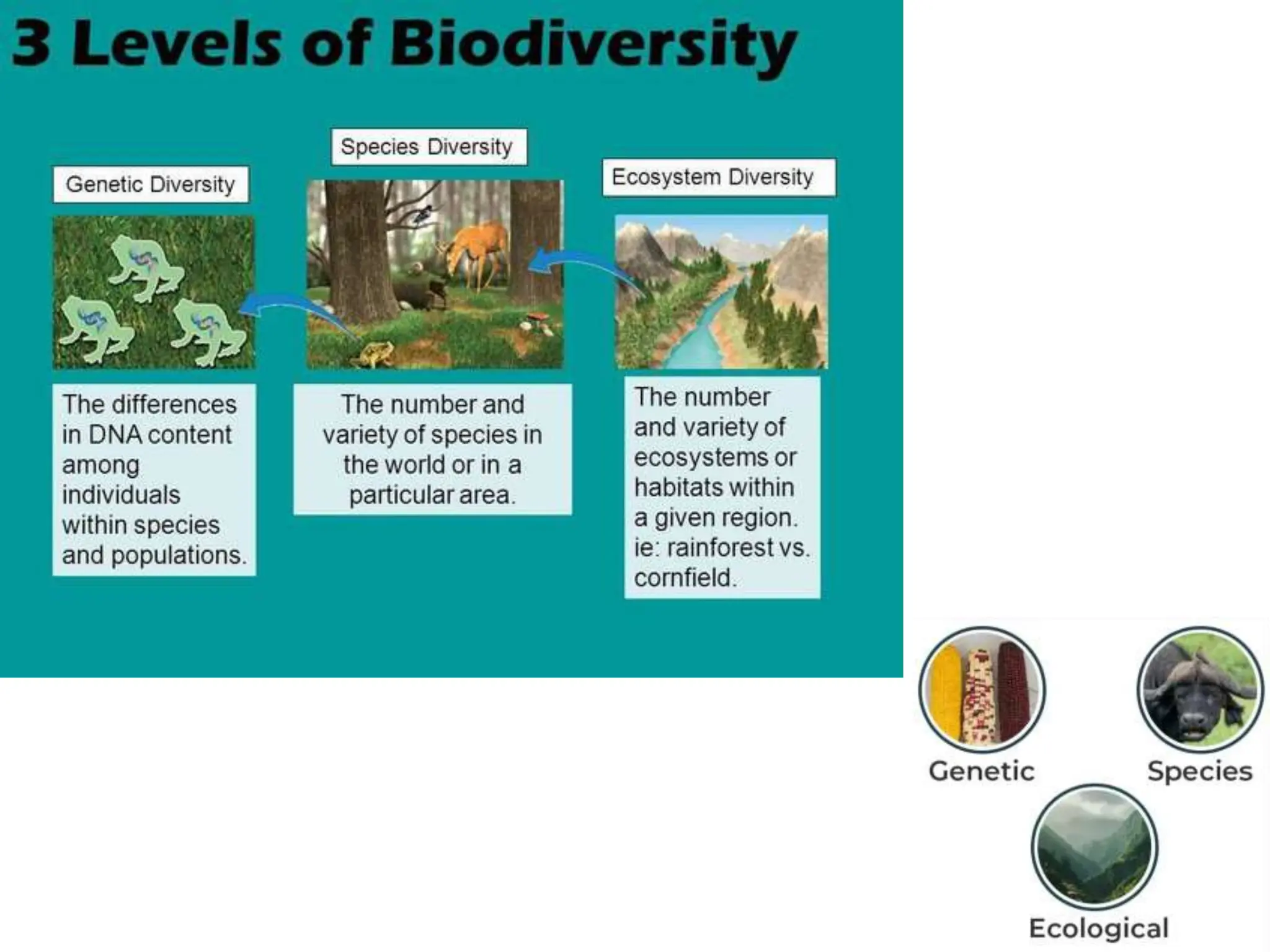 Basic Civil Engineering Notes of Chapter-6, Topic- Ecosystem ...