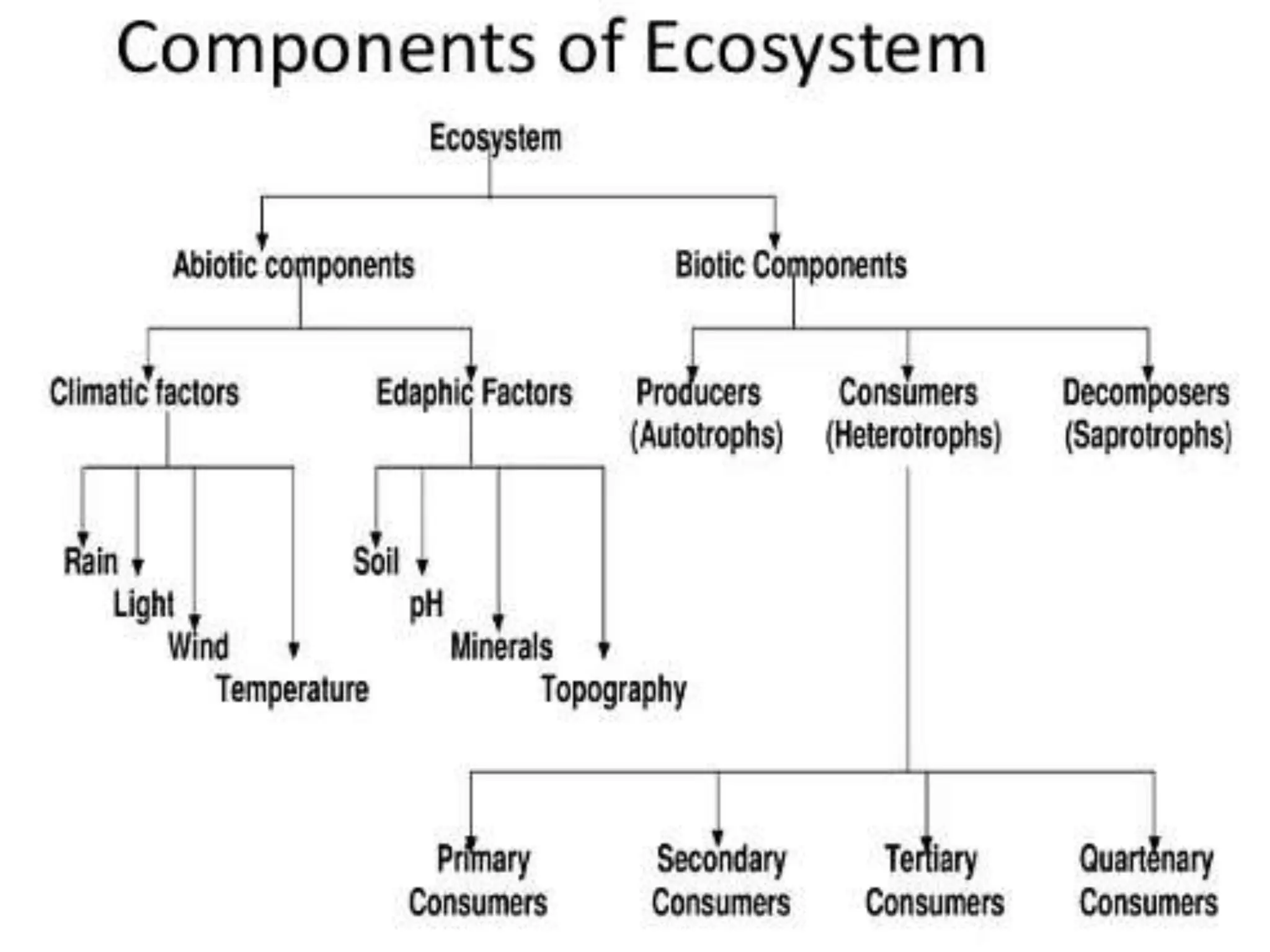 Basic Civil Engineering Notes of Chapter-6, Topic- Ecosystem ...