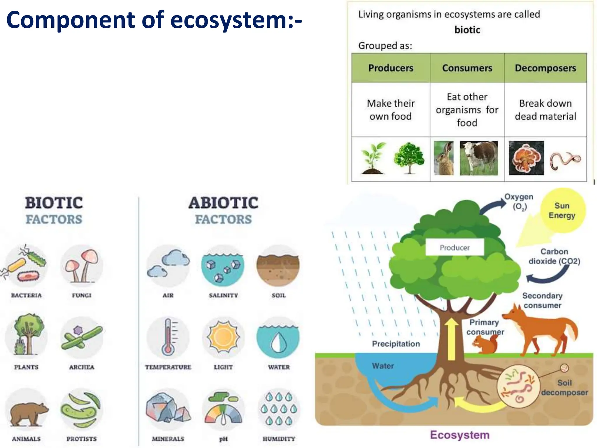 Basic Civil Engineering Notes of Chapter-6, Topic- Ecosystem ...