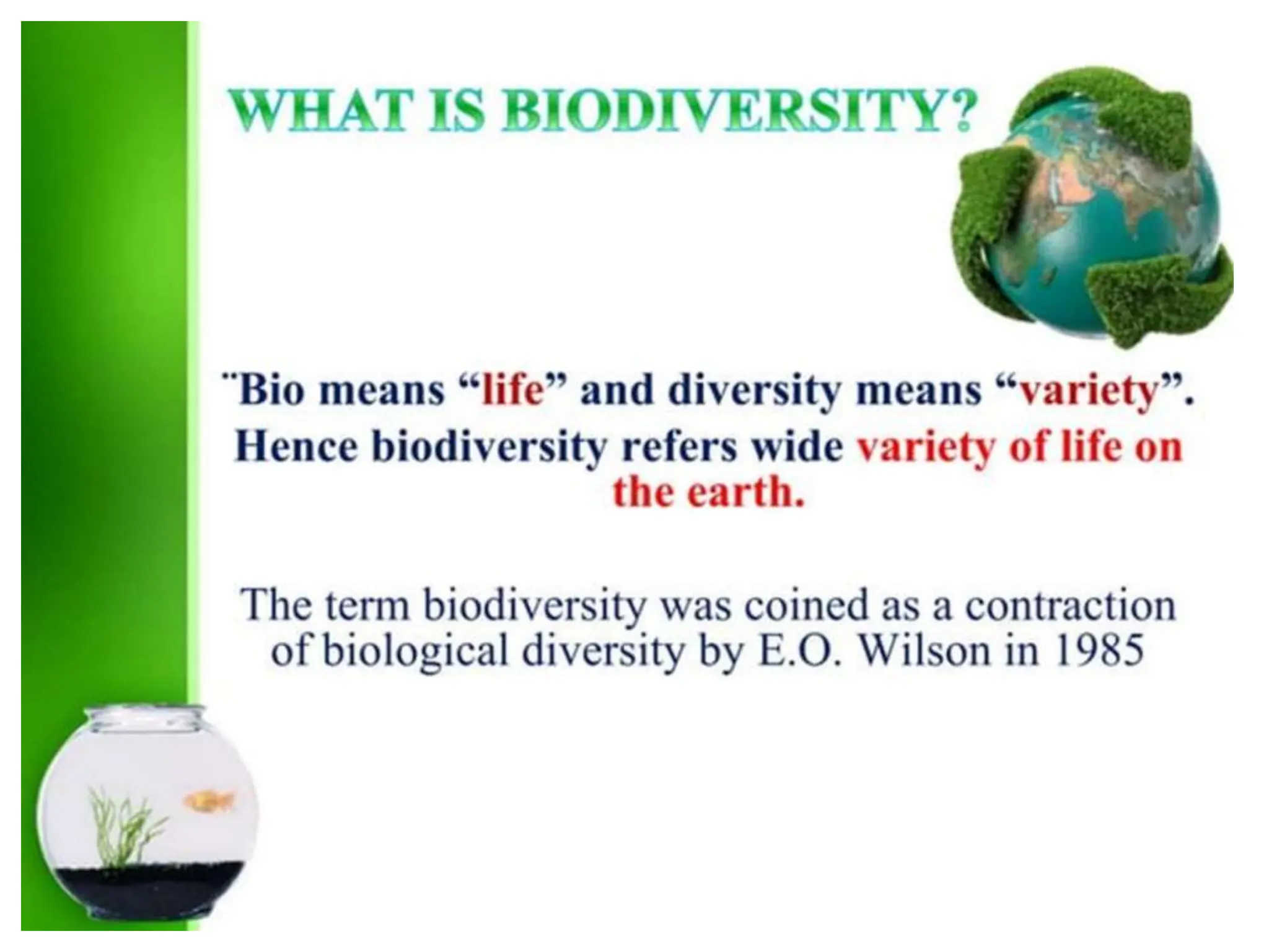Basic Civil Engineering Notes of Chapter-6, Topic- Ecosystem ...