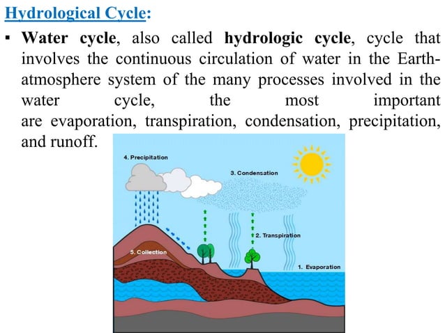 Basic Civil Engineering Notes of Chapter-6, Topic- Ecosystem ...
