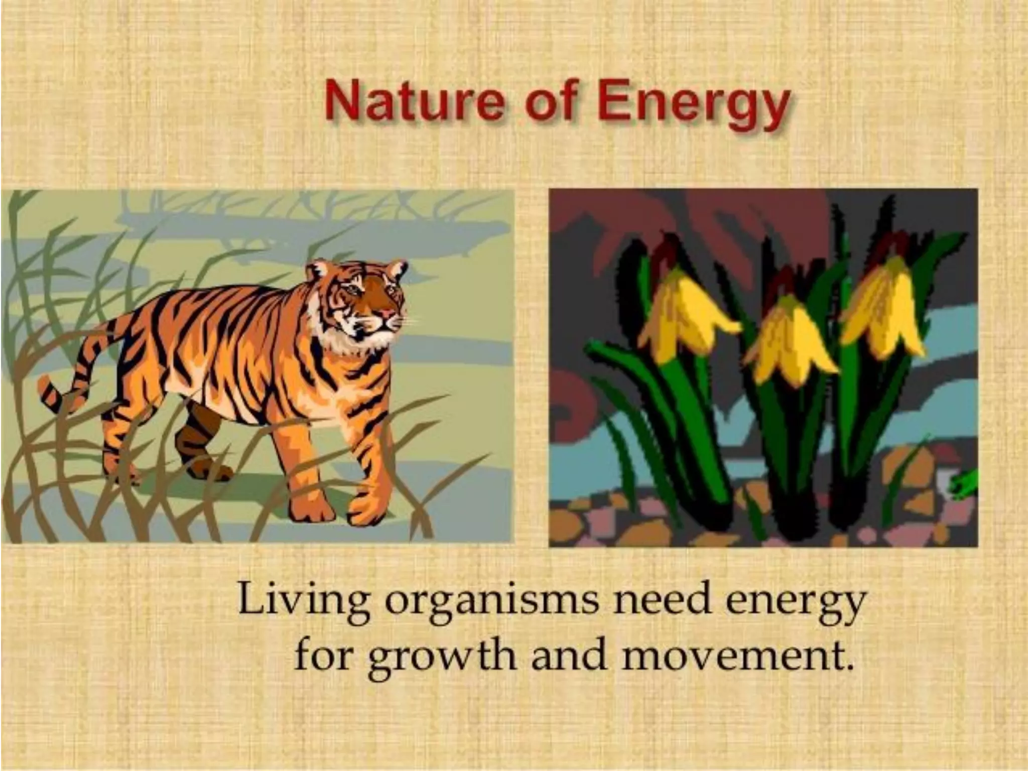 Basic Civil and Environmental Engineering (BCEE)_Unit 6_SPPU_Energy and ...