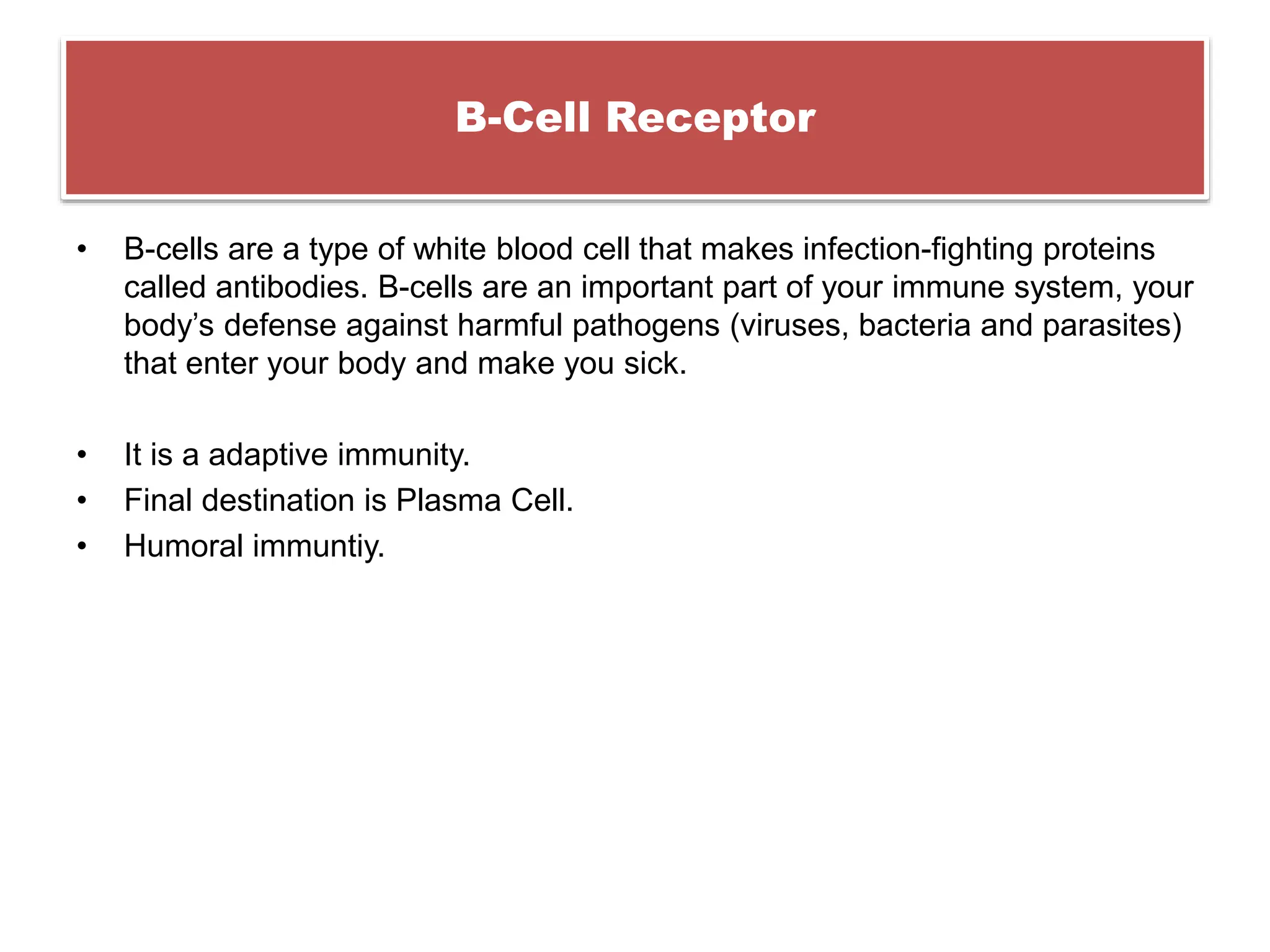 Antigen,Immunoglobulin And B Cell Maturation Activation Differentiation.pptx