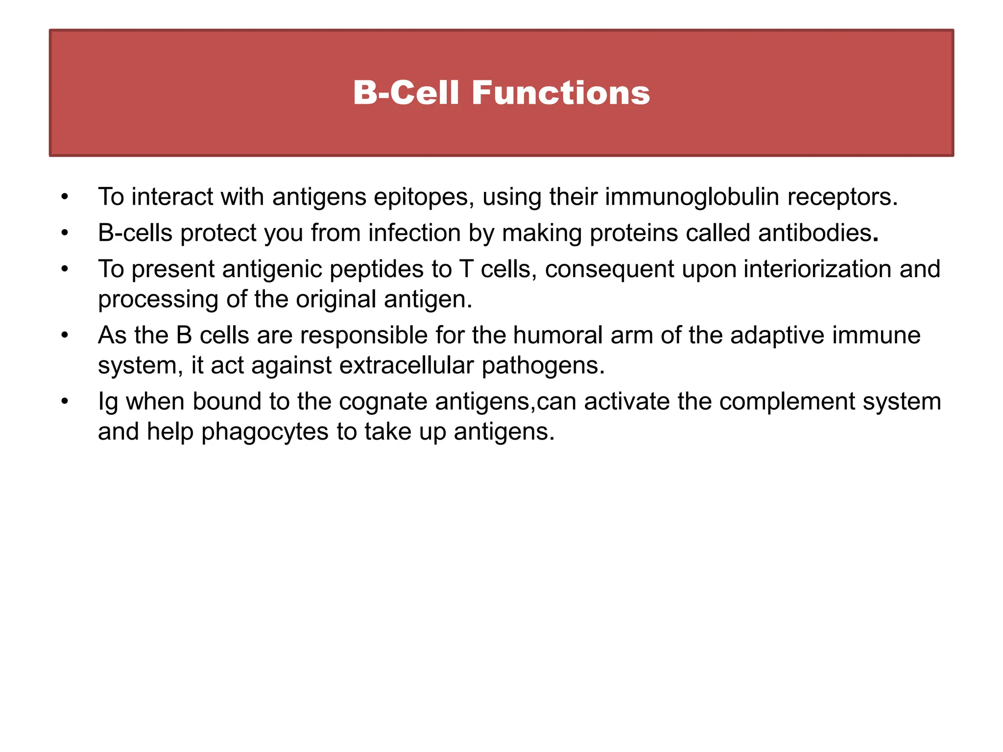 Antigen,Immunoglobulin And B Cell Maturation Activation Differentiation.pptx