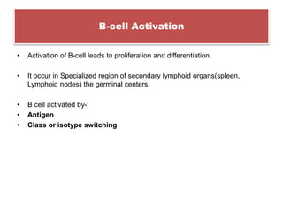 Antigen,Immunoglobulin And B Cell Maturation Activation Differentiation ...