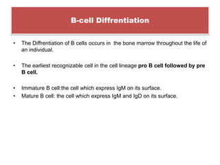 Antigen,Immunoglobulin And B Cell Maturation Activation Differentiation.pptx