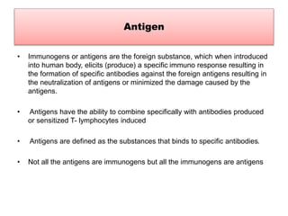 Antigen,Immunoglobulin And B Cell Maturation Activation Differentiation ...