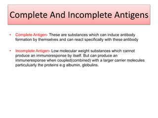 Antigen,Immunoglobulin And B Cell Maturation Activation Differentiation ...