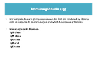 Antigen,Immunoglobulin And B Cell Maturation Activation Differentiation ...