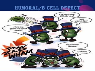 B cell(Immunology) | PPT