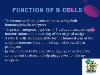 B cell(Immunology) | PPT
