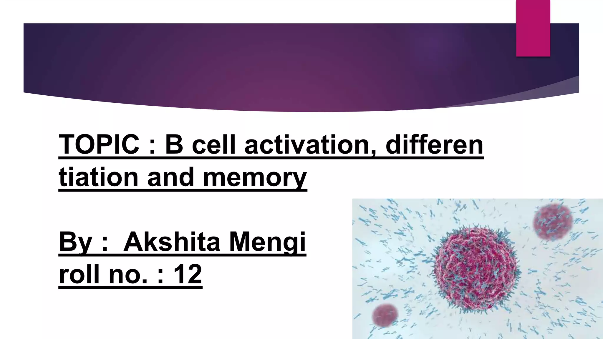 Bcell activation , differentiation and memory | PPTX