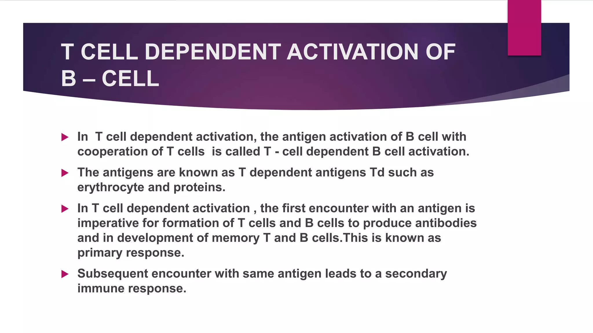 Bcell activation , differentiation and memory | PPTX