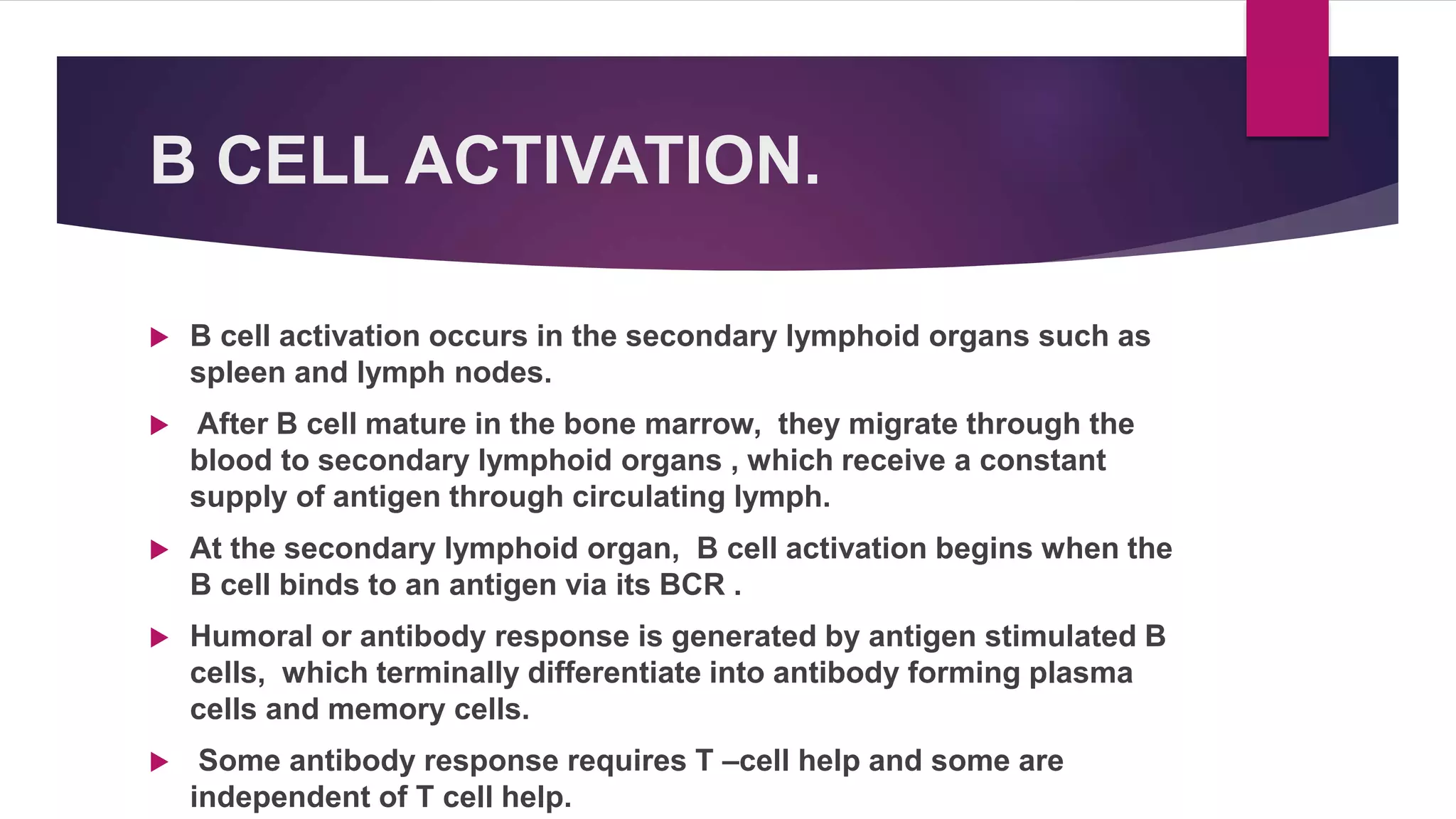 Bcell activation , differentiation and memory | PPTX
