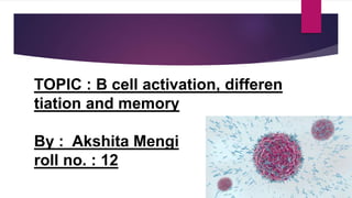 Bcell activation , differentiation and memory | PPTX