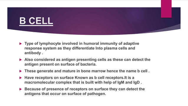 Bcell activation , differentiation and memory | PPTX