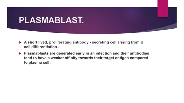 Bcell activation , differentiation and memory | PPTX