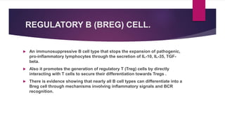 Bcell activation , differentiation and memory | PPTX