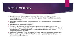 Bcell activation , differentiation and memory | PPTX